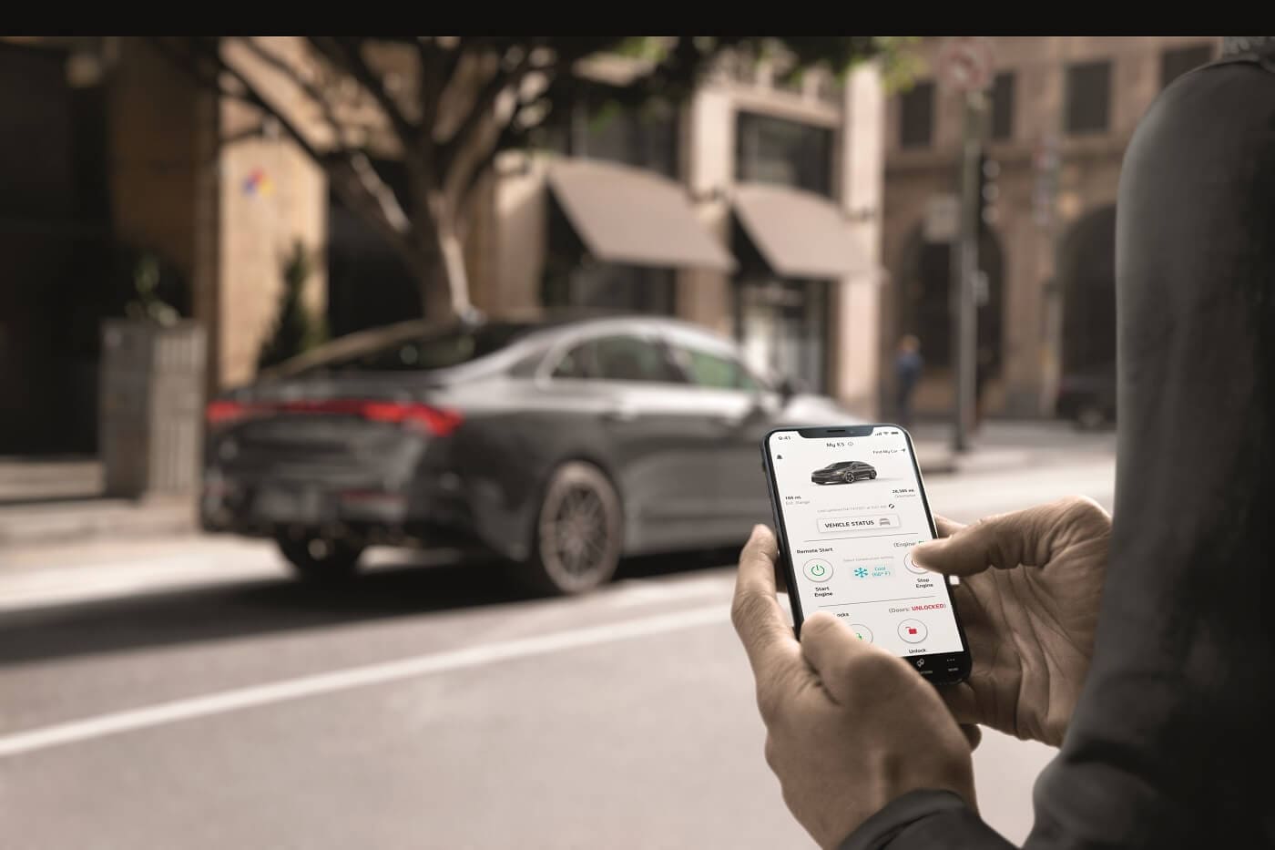 Kia Dealer near St. George UT | Findlay Kia St. George