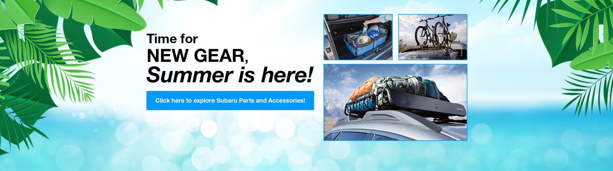 Findlay Subaru St. George | Subaru Dealer in St. George, UT