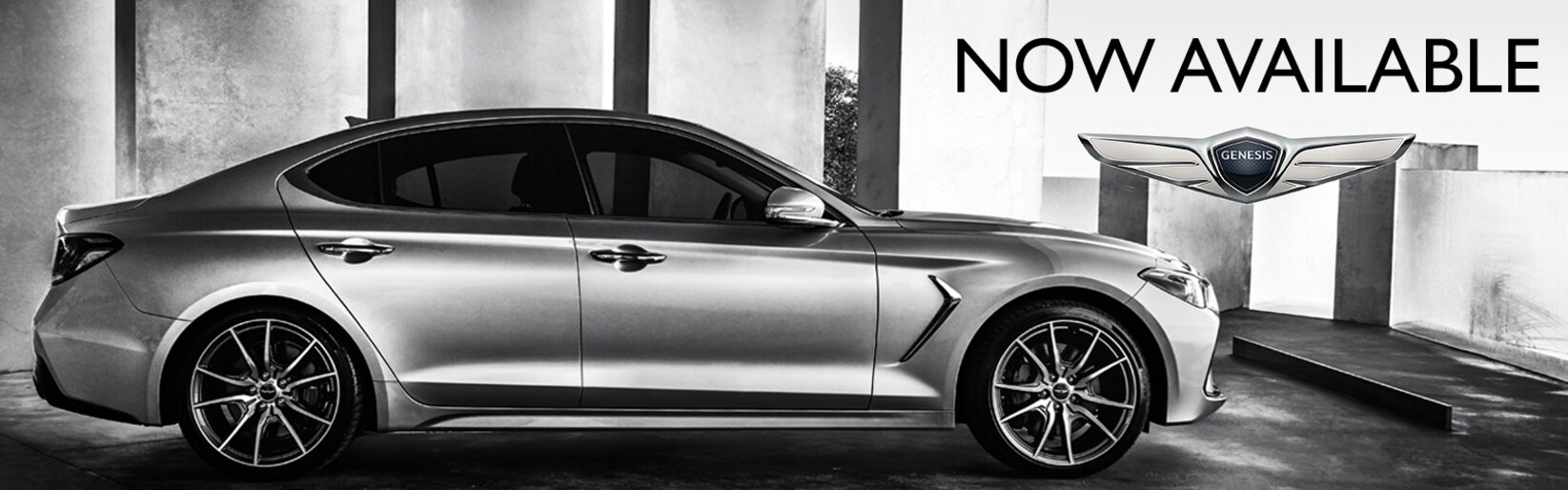 Clearwater Fitzgerald's Countryside Hyundai | New & Used Hyundai Cars