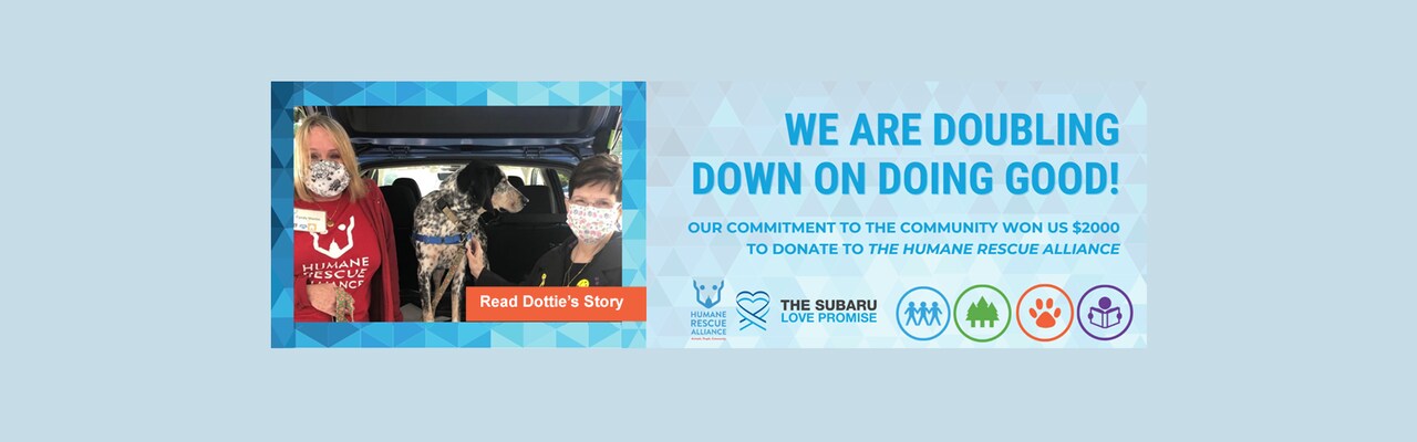 New & Used Subaru Dealer Near Washington DC | Fitzgerald Subaru Rockville