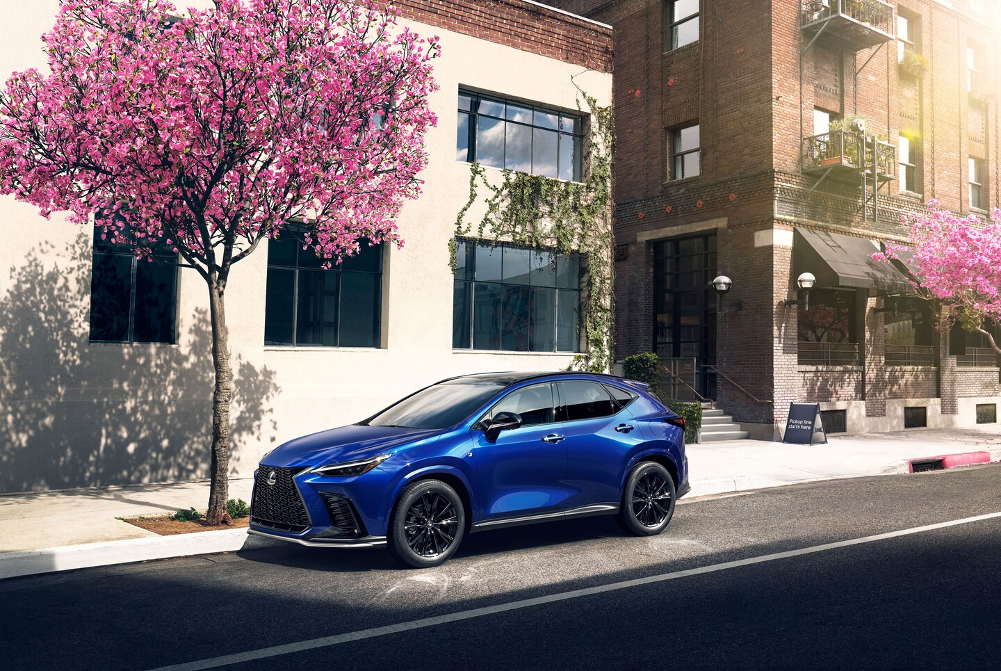 Flow Lexus of Winston Salem: New and Used Lexus dealership in Winston ...