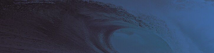 New and Used Honda Dealer in Longmont, CO | Contact Us Now!