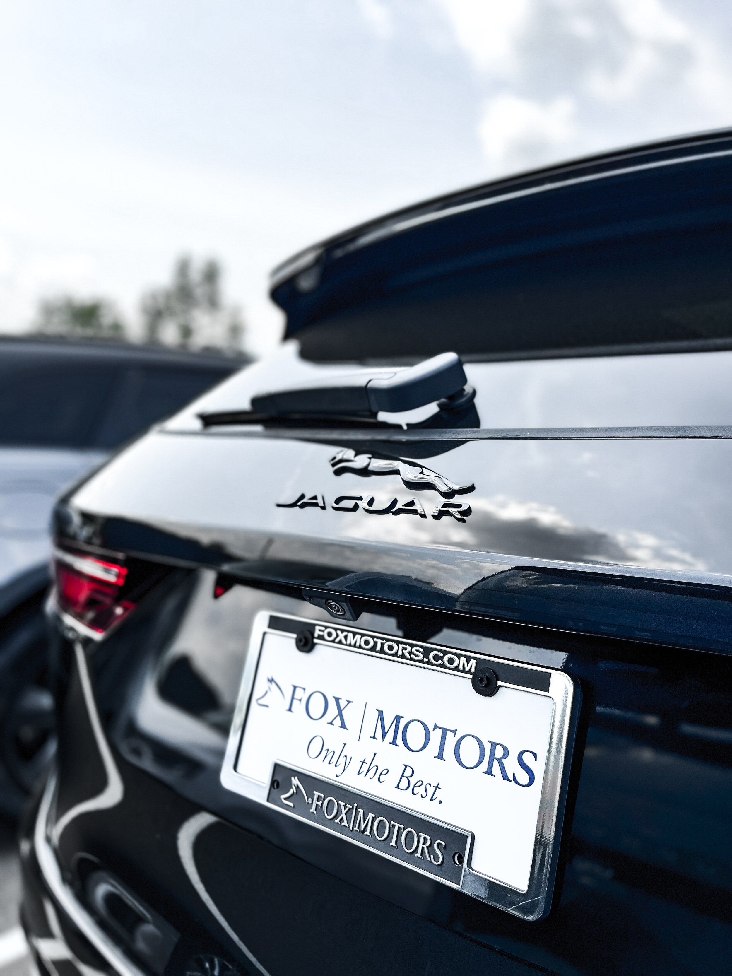 Jaguar Novi | New & Used Jaguar Dealership Near Detroit & Waterford, MI