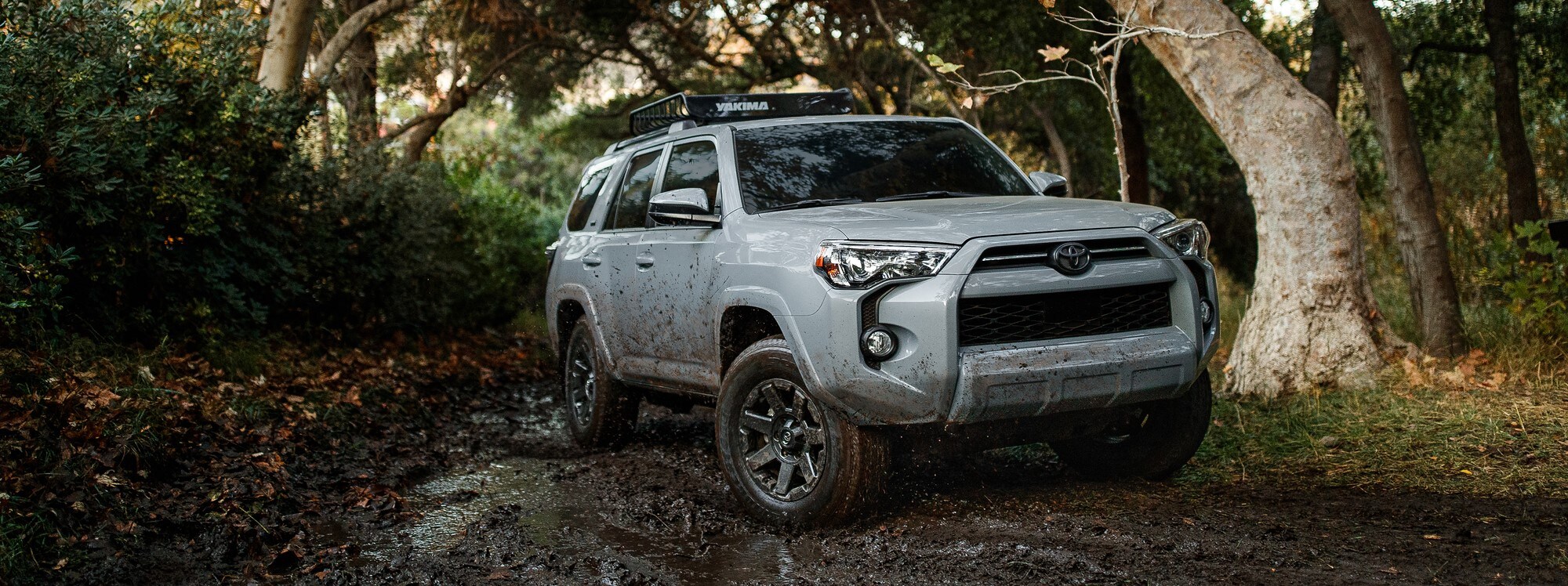 New Toyota 4Runner SUV For Sale in Flemington, NJ