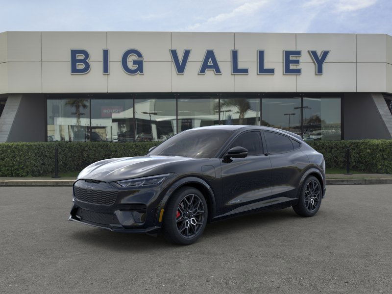 New Ford Mustang Mach E for Sale Big Valley Ford