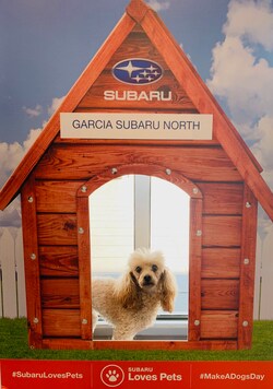 New & Used Cars Albuquerque NM | Garcia Subaru of Albuquerque