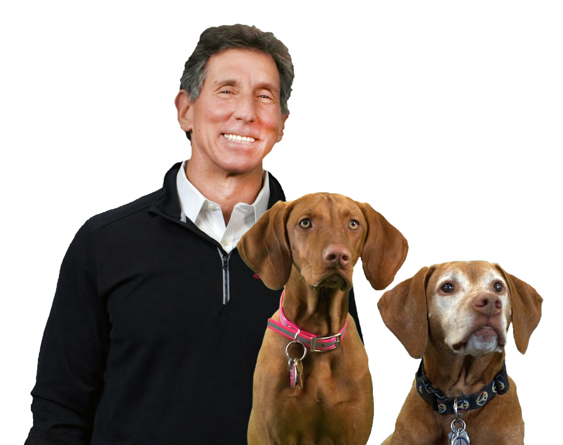 About | Gary Rome Auto Group