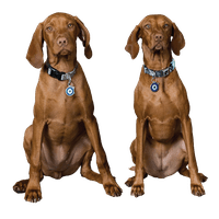 Inventory | Gary Rome Auto Group