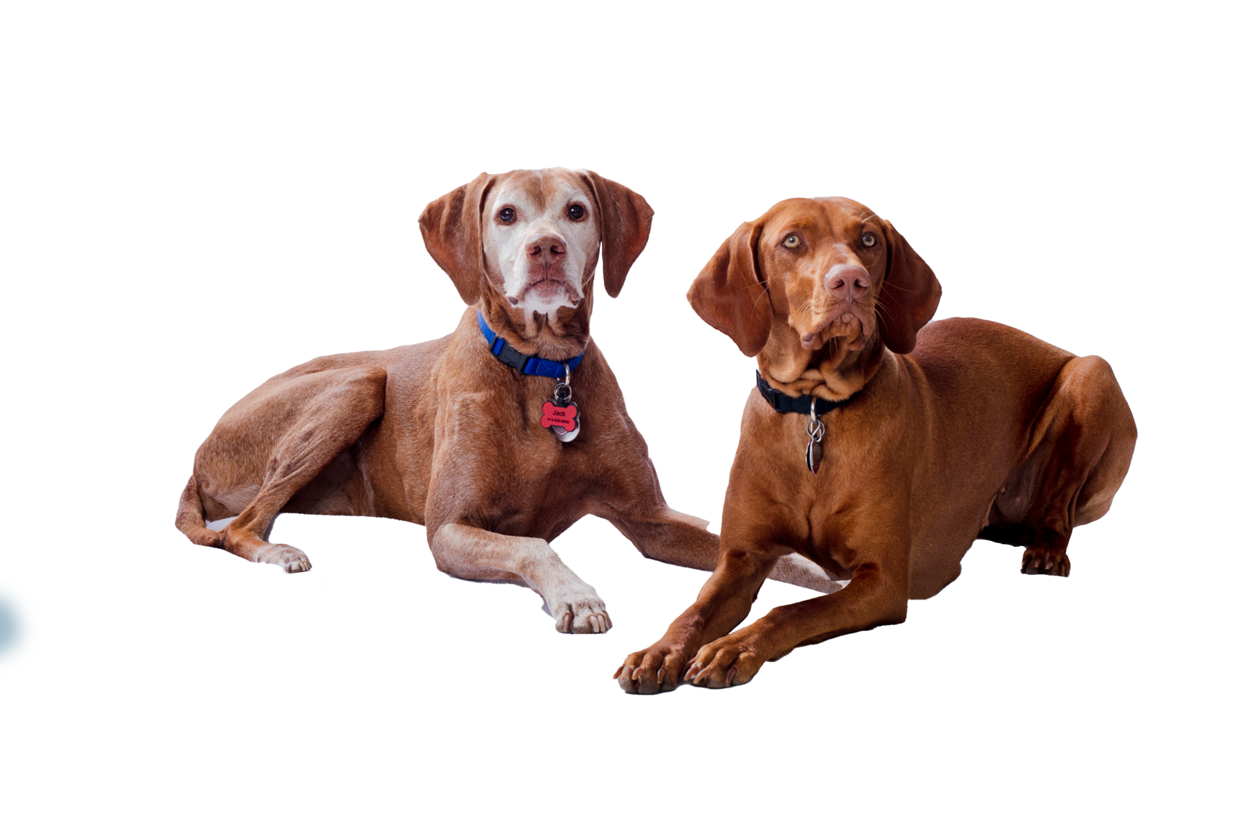 New Inventory | Gary Rome Auto Group