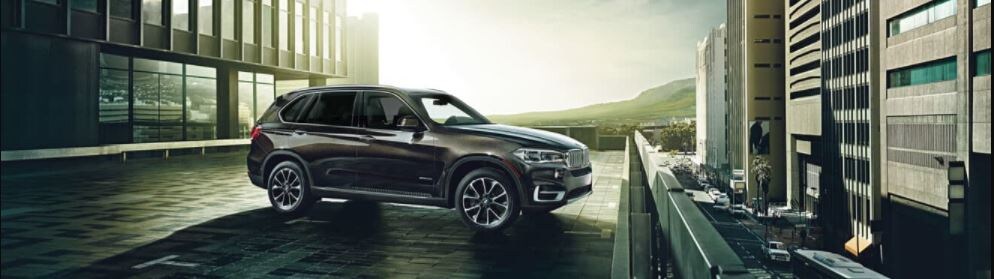 New BMW X5 For Sale in Knoxville | Grayson BMW