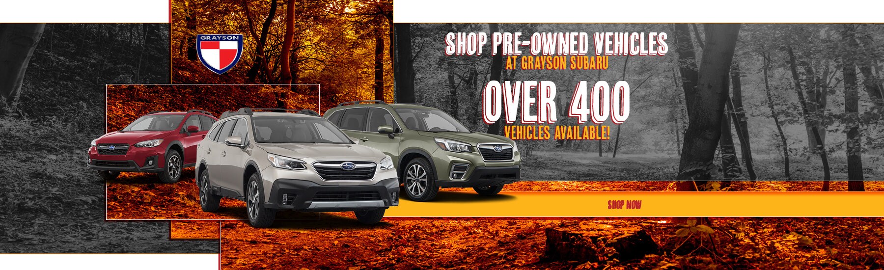 Grayson Subaru | New Subaru & Used Car Dealer in Knoxville TN