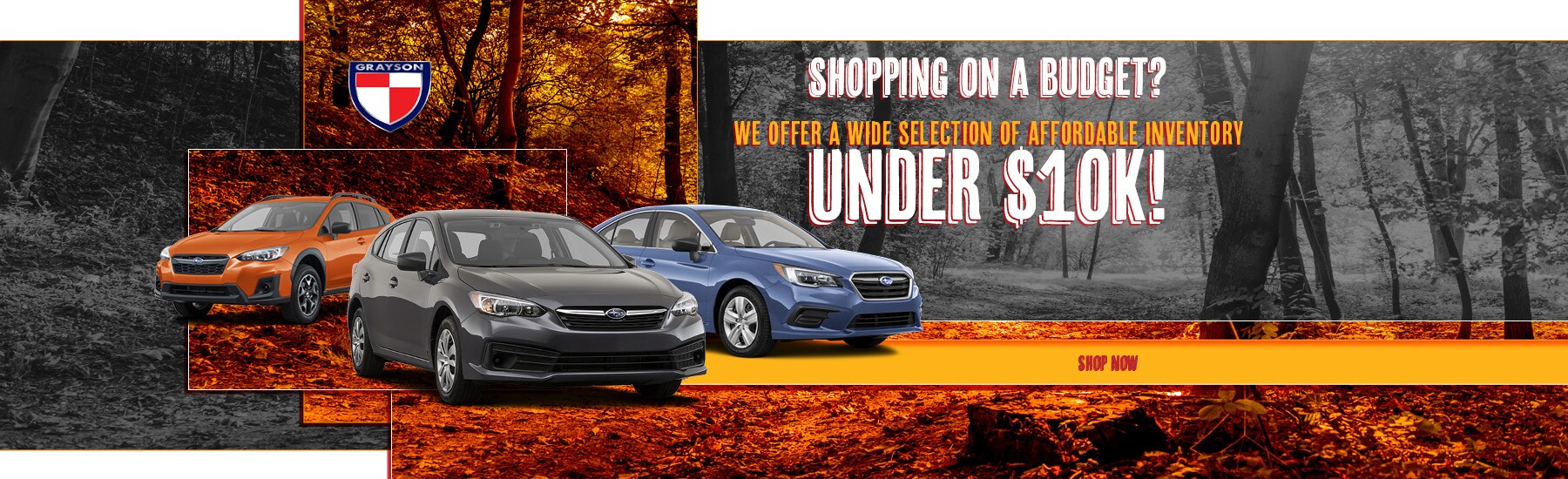 Grayson Subaru | New Subaru & Used Car Dealer in Knoxville TN