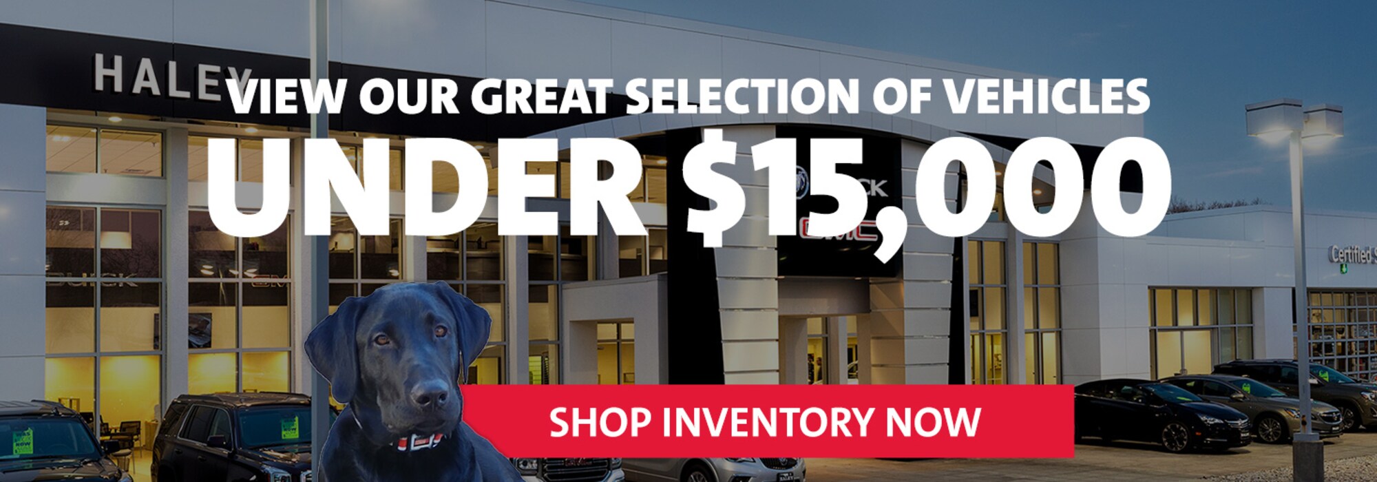 HALEY BUICK GMC AIRPORT | New GMC, Buick Dealership in Richmond, VA