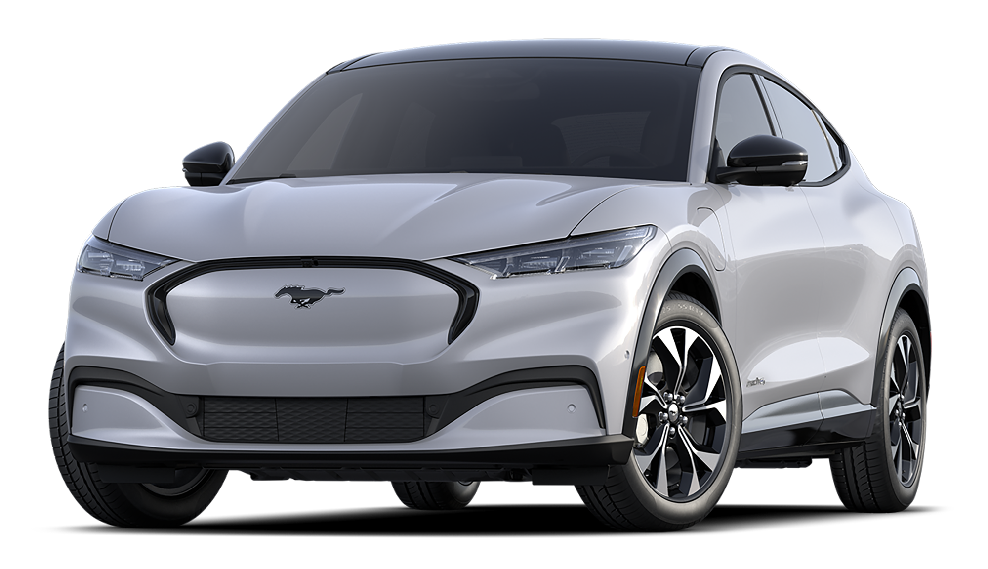 New Vehicle Specials | Healey Brothers Ford