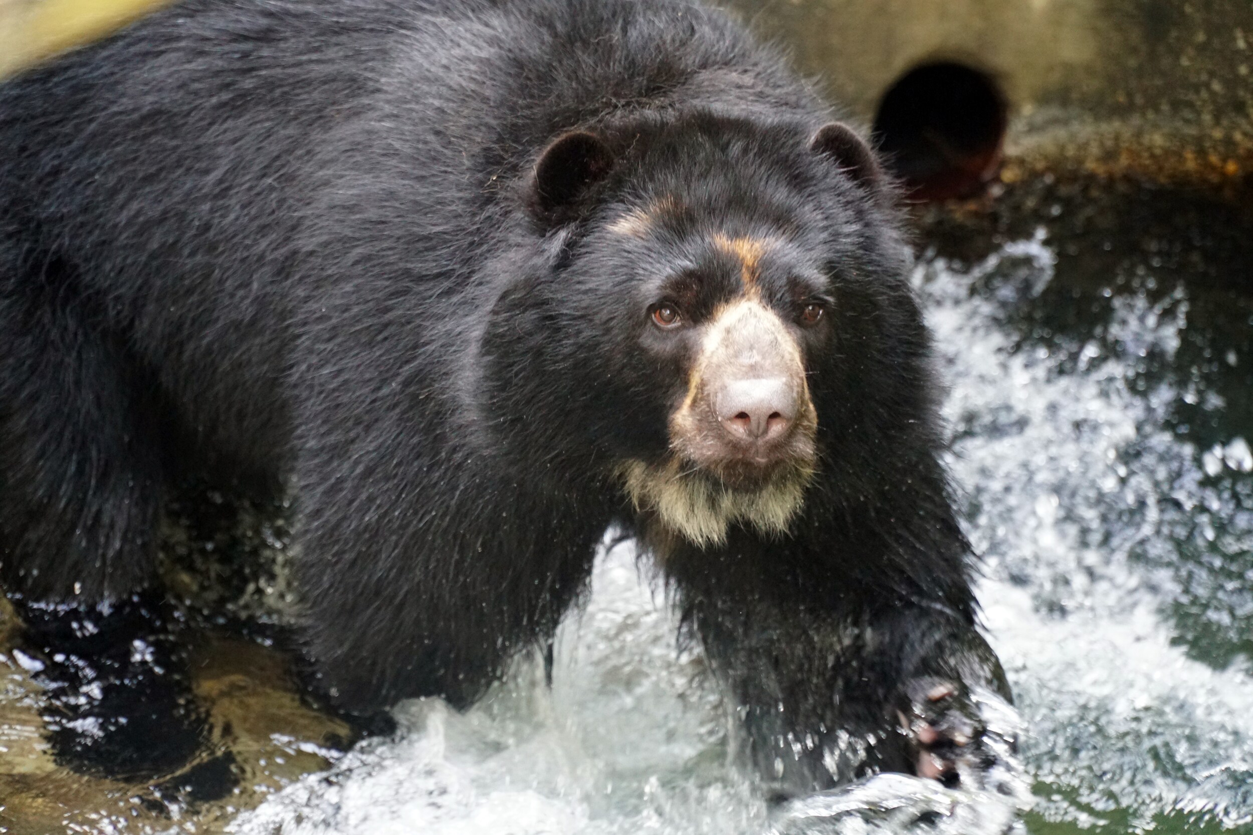 Hertrich Helps | The Hertrich Family of Dealerships