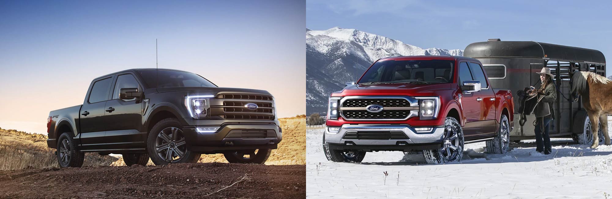 Ford F-150 Trim Levels | What Is The Top Of The Line Ford F-150?