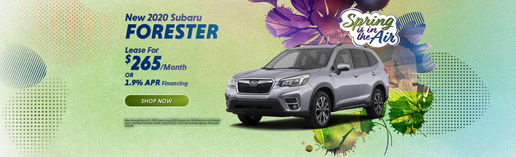 New Subaru and Used Car Dealer in Athens, GA