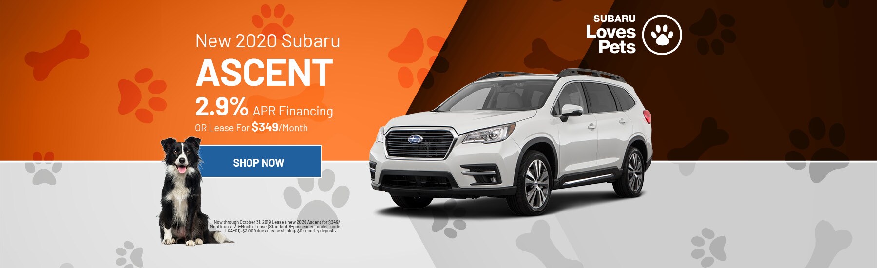 New Subaru and Used Car Dealer in Athens, GA
