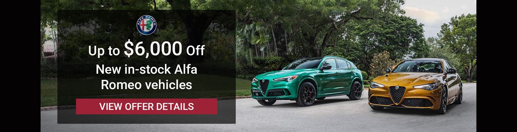 New & Used Luxury Car Dealer | Jim Ellis Alfa Romeo Atlanta