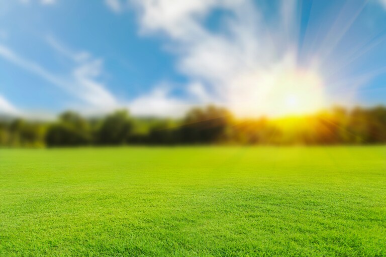 Jimmy Michel Ford Aurora | Used Car Dealership Aurora, MO