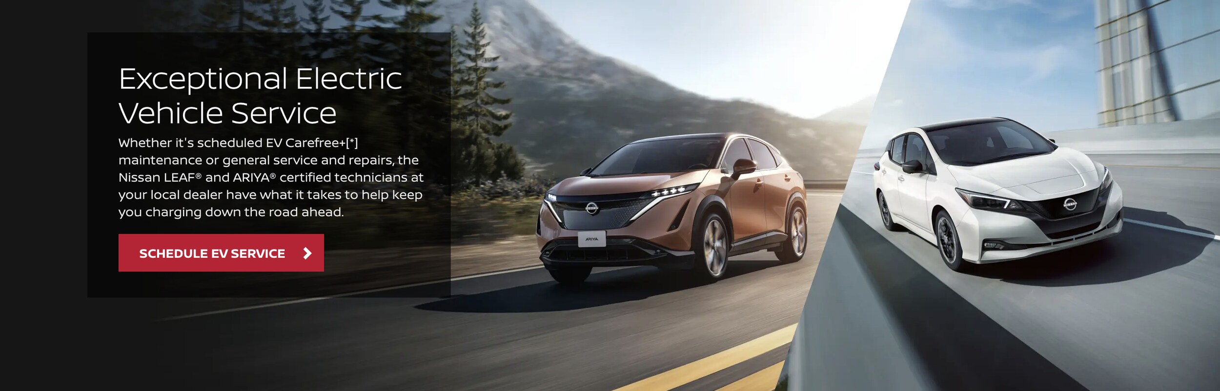 Nissan ev services store