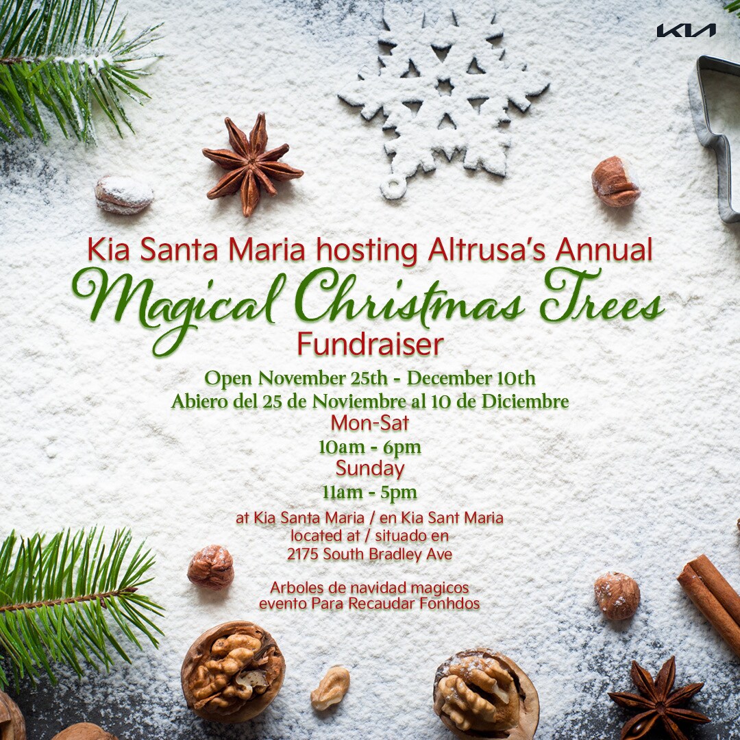 Altrusa’s Annual Magical Christmas Trees | Kia Santa Maria