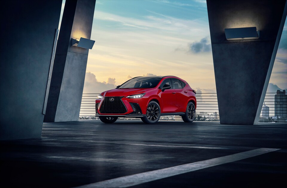 New 2024 Lexus NX for Sale in Chester Springs, Pennsylvania