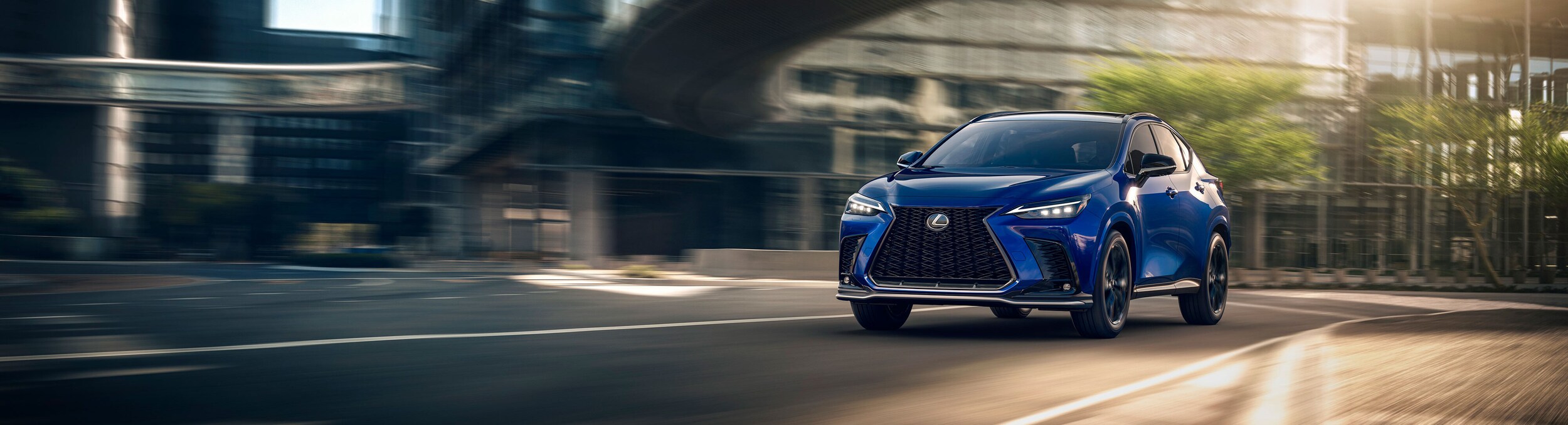 New 2024 Lexus NX for Sale in Chester Springs, Pennsylvania