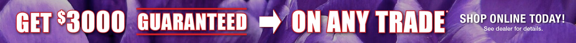 New & Used Subaru Dealership | Lithia Reno Subaru