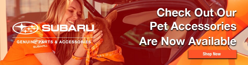 Subaru Service & Auto Repair Oregon City