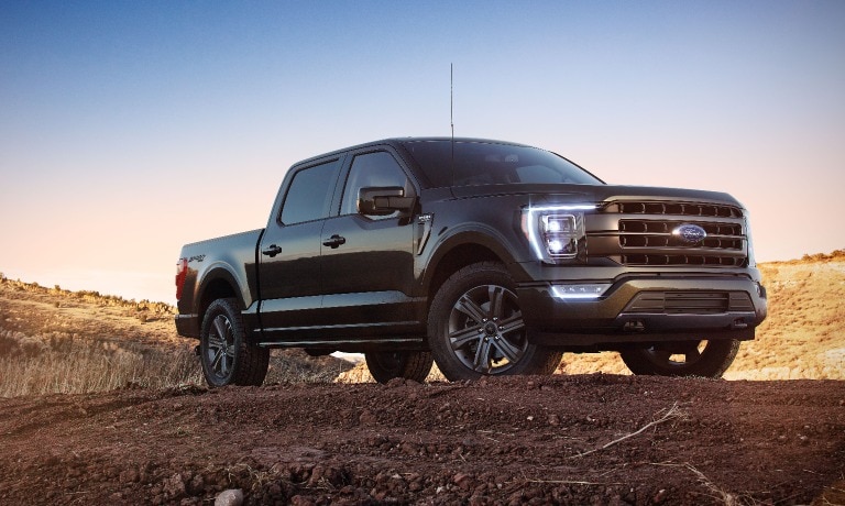 2023 Ford F-150 Trim Levels | XLT vs. Platinum vs. Raptor