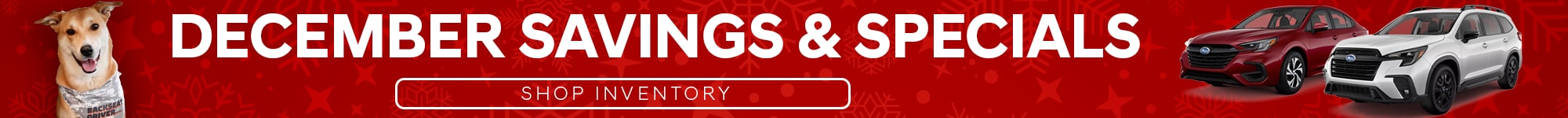 Subaru Dealership Bloomfield, Montclair, Newark, Clifton, Passaic NJ ...