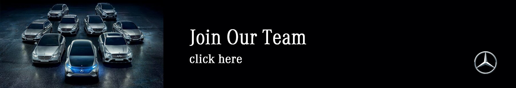 Mercedes-Benz of Oakland Sales Staff | Mercedes-Benz cars, SUVs, and ...