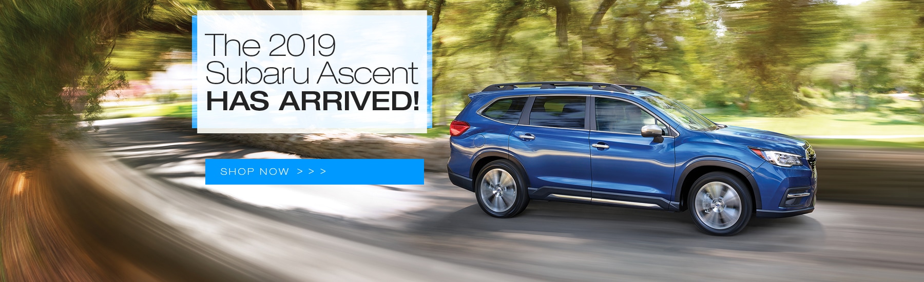 McCurley Integrity Subaru | New Subaru & Used Car Dealer in Pasco