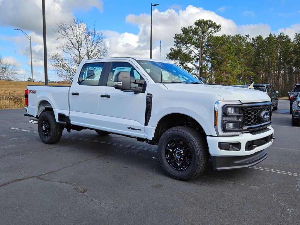 New 2024 Ford F-250SD For Sale in Metter, GA | Near Statesboro ...