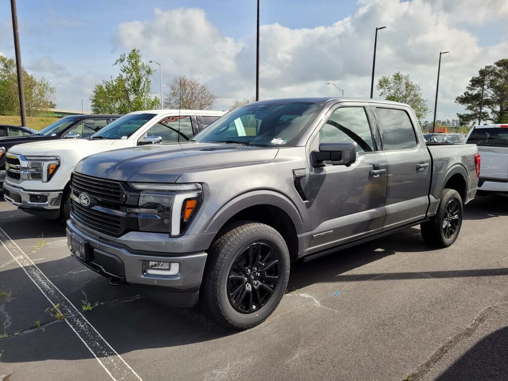 New 2025 Ford F-150 For Sale in Metter, GA | Near Statesboro, Pembroke ...