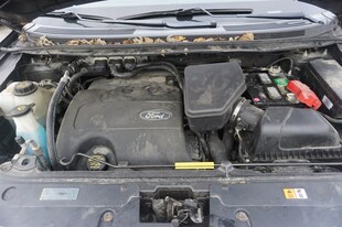 Used Vehicle Inventory | Mike Castrucci Ford Milford in Milford