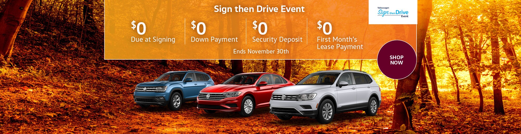 Momentum VW: Volkswagen Dealer in Houston