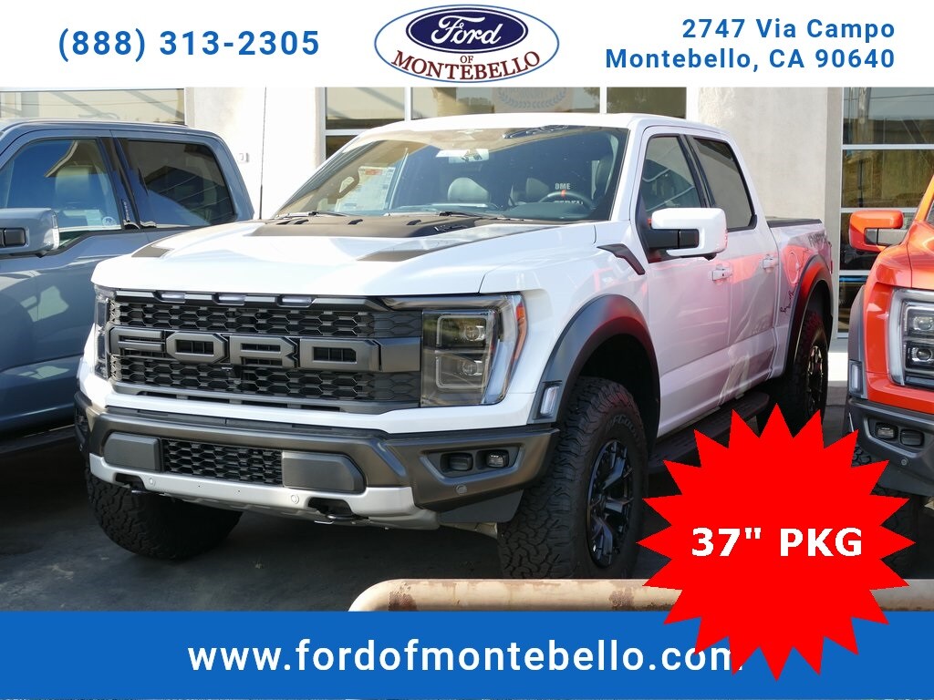 Ford Velociraptor 800