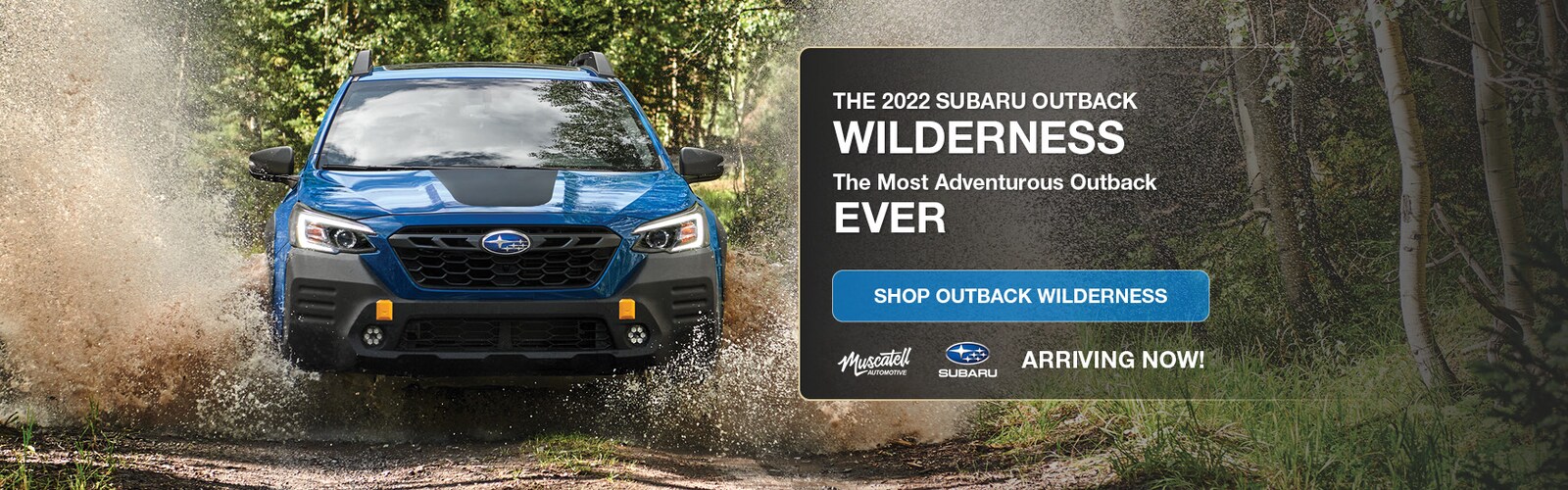 Ward Muscatell Automotive Group | New Ford, Subaru Dealership in ...