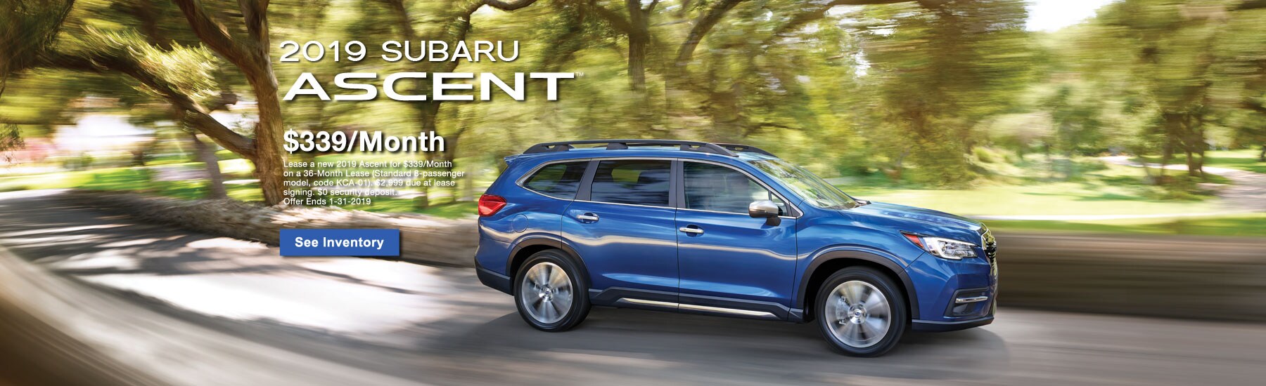 Napleton's Schaumburg Subaru