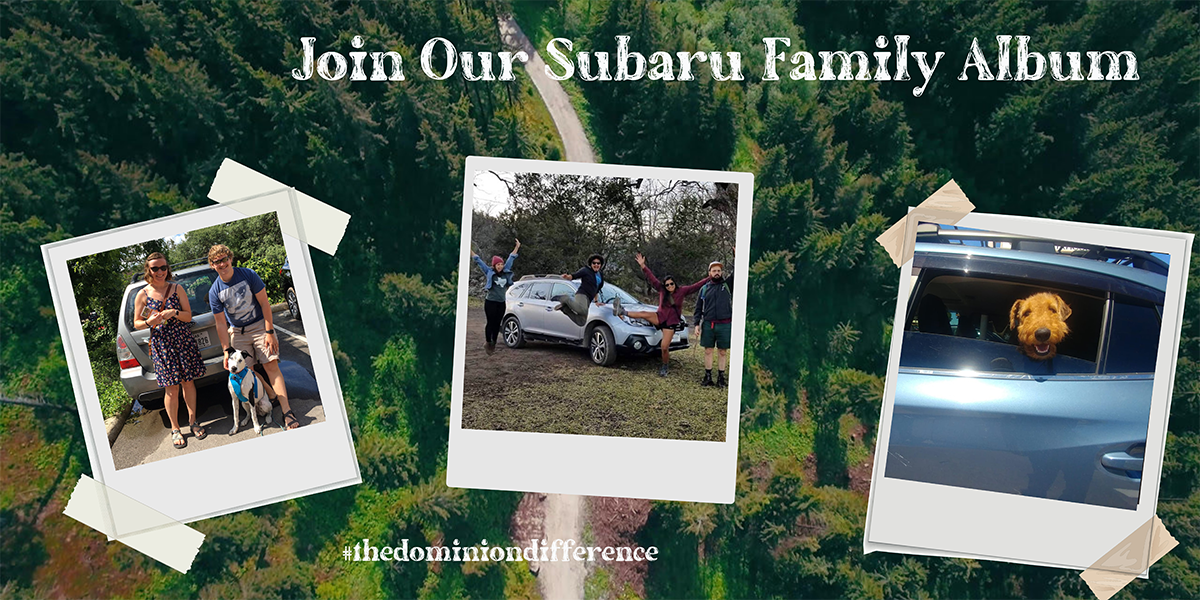 Subaru Family Photo Album | Subaru Dealer Near Seguin, TX