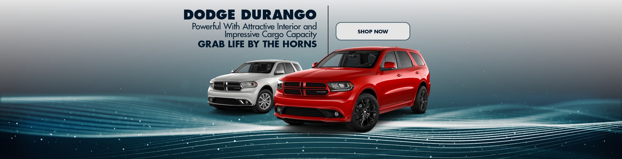 Featured Inventory - New York | Novak Motors