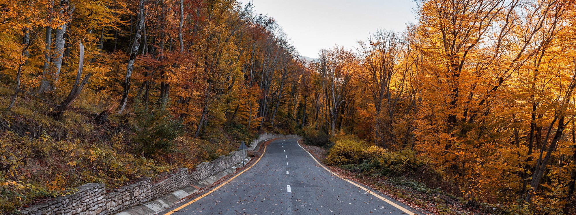 Nucar | New Volkswagen, Kia, Dodge, Jeep, Chevrolet, Mazda, Chrysler ...