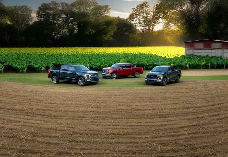 Ford Dealer In Medina, NY | Orleans Ford Trucks, Cars, SUVs & Service