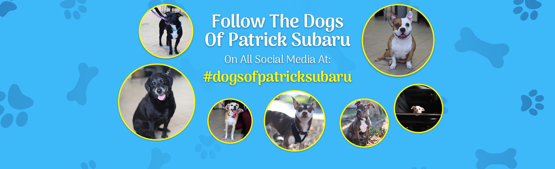 New & Used Subaru dealership in Shrewsbury | Patrick Subaru - Serving ...