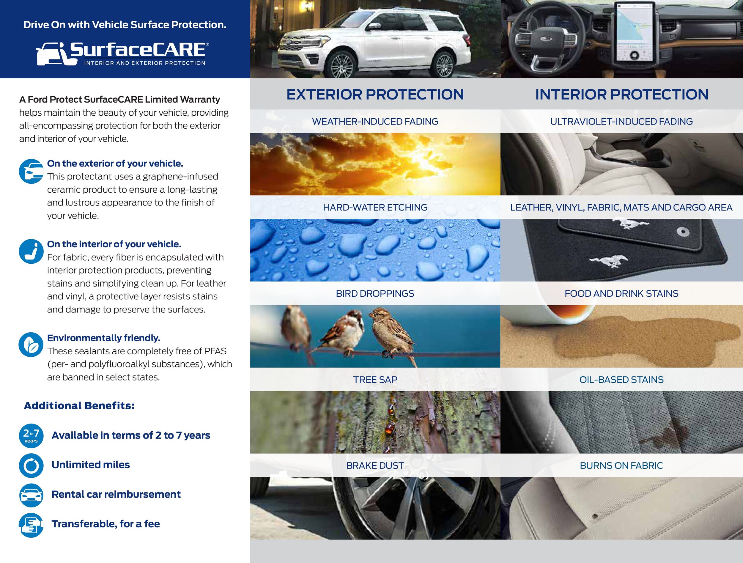 Ford Surface Care at Peltier Ford - Interior and Exterior Protection