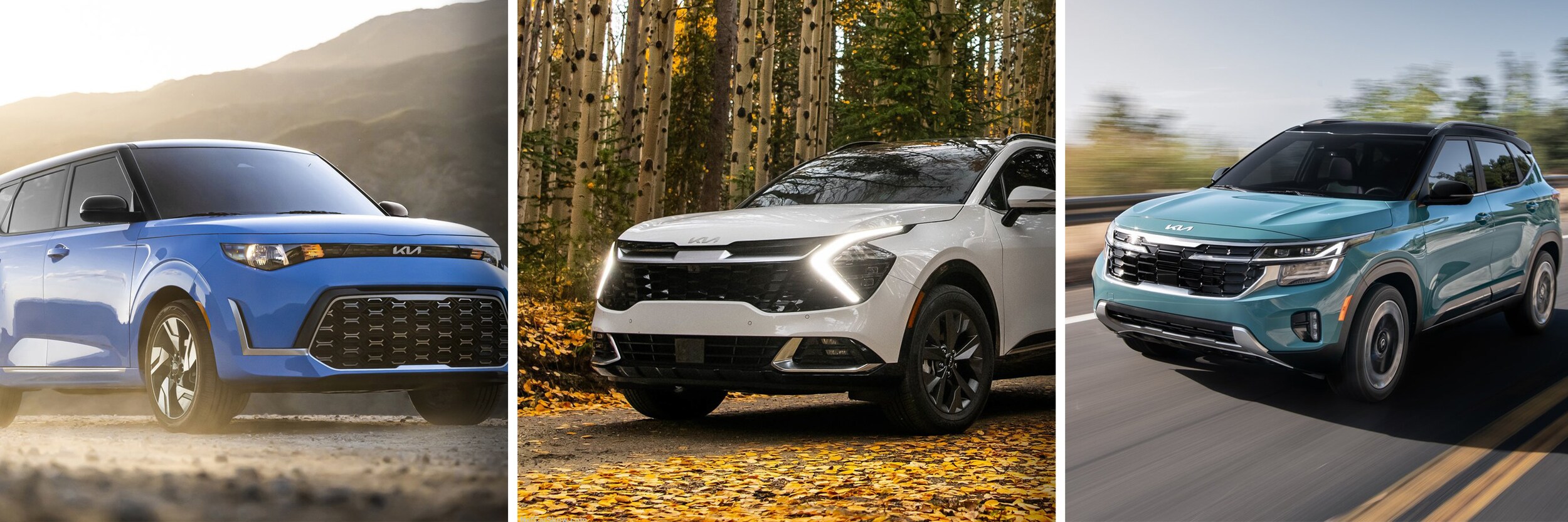 Comparing Kia SUV Models: Which One is Right for You? | Phil Long Kia ...