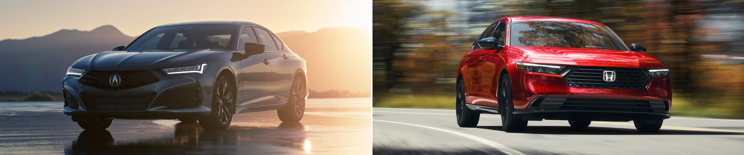 Acura Vs. Honda Comparison: In-Depth Brand Battle