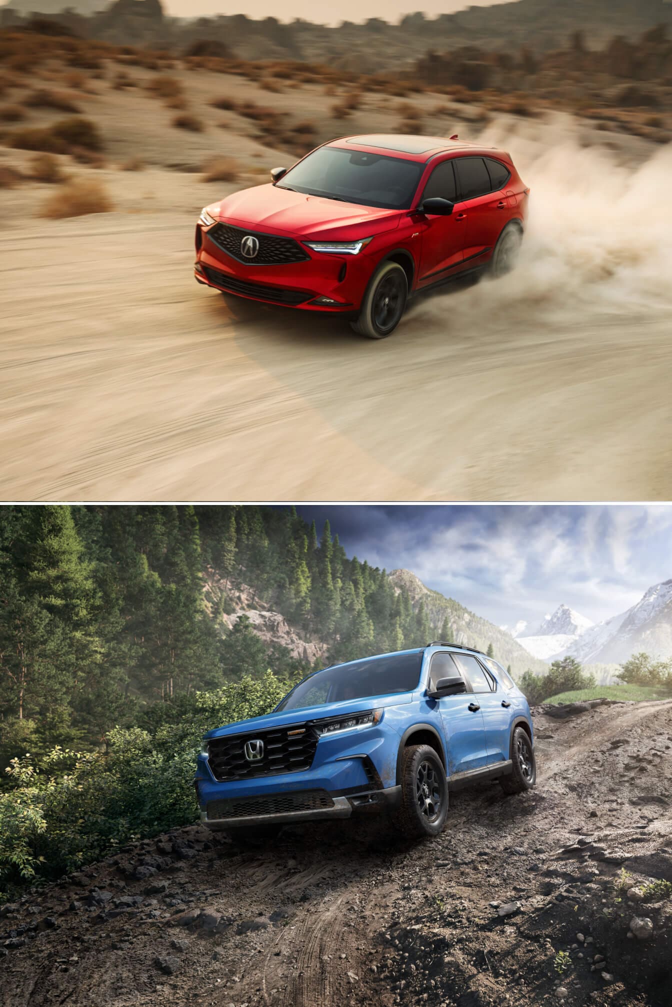 Acura Vs. Honda Comparison: In-Depth Brand Battle